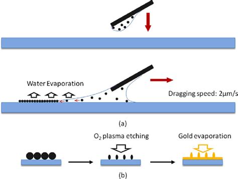 A Tip Directed Self Assembly Process Droplet Of Solution Containing