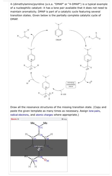 Solved 4 Dimethylaminopyridine Aka Dmap Or 4 Dmap
