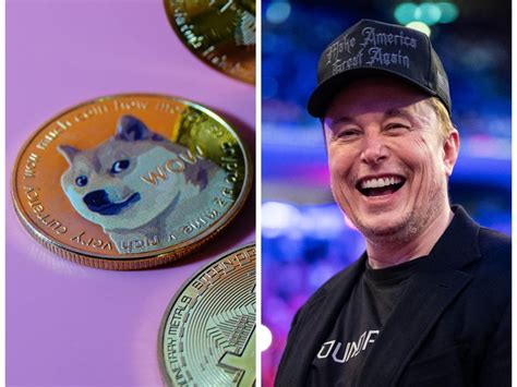 The 'Doge' dog meme that Elon Musk loves, explained in 1 minute