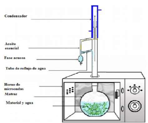 Representación Esquemática De Un Equipo De Hidrodestilación Asistida Download Scientific