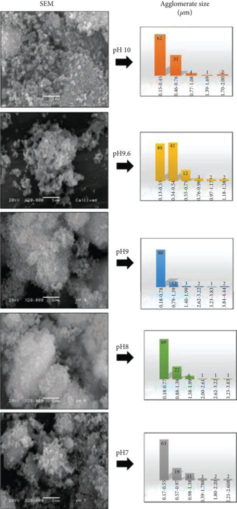 Sem Micrographs And Agglomerate Size Distribution For Prepared Samples Download Scientific
