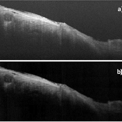 Desired Effect Of Gaussian Blur Filter Images Left And Corresponding Download Scientific