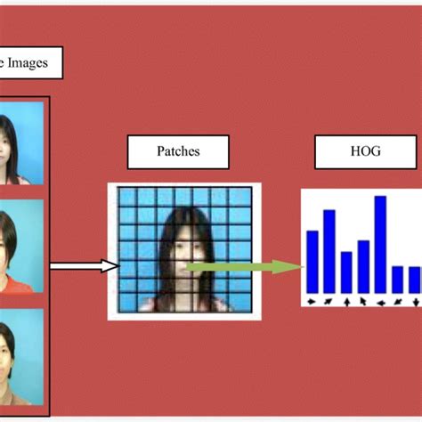 Shows The Overview Of Sketch Based Retrieval System Each Sketch And