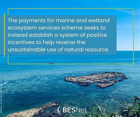 Biodiversity And Ecosystem Services Network Bes Net On Linkedin