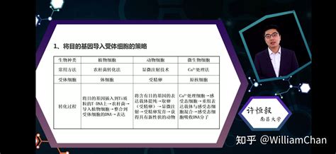 生物 基因工程的基本流程 知乎