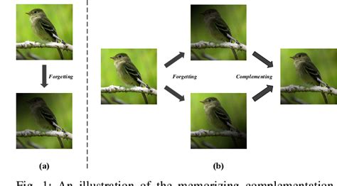 figure 3 from memorizing complementation network for few shot class