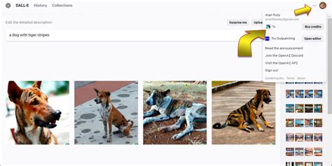 How To Use DALL E To Generate AI Images From Text PetaPixel