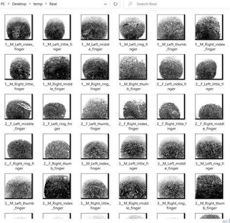 Biometric Steganography Using Mid Position Value Technique