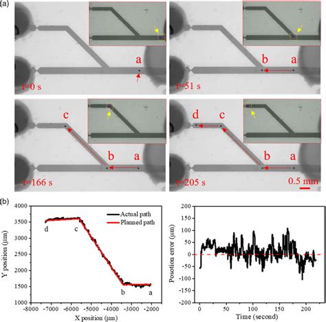 Automatic Navigation Of The Magnetic Microrobot In A Y‐shaped