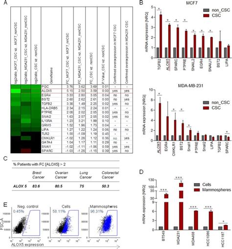 High Throughput Microarray Data From Breast Cancer Cell Linesa