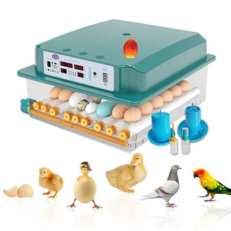 【dual Power Supply 】163664120 Egg Poultry Incubators Fully Automatic