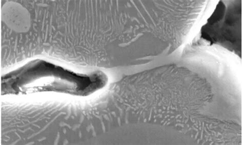 Convolutional Neural Network Castman