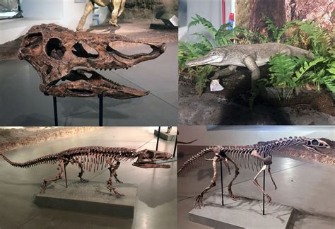 Rethinking Evolving Planets Triassic Gallery Extinct Monsters