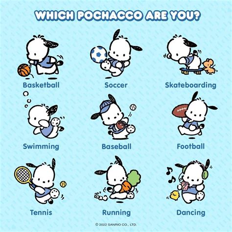 Sanrio Characters Pochacco Pochacco Playing Volleyball