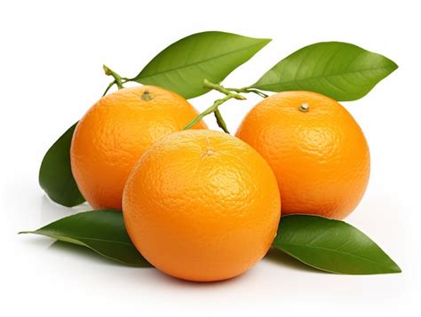 Premium Ai Image Thats The Same Title You Provided If You Need A