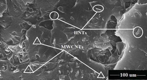 Impact Fracture Surface Morphology Fesem Of Pmma Resin Reinforced