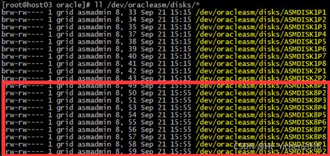 11g rac更换存储（rebulance方式） oracle 11 2 0 4 rac 更换存储的方案 csdn博客