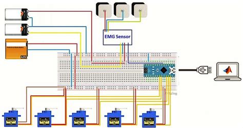 Electrical Diagram Connection Of Experimental Platform For Human Hand
