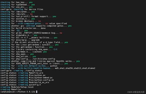 【鲁班猫】安装python3912 Csdn博客