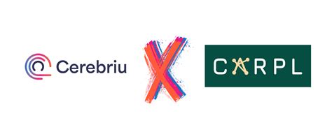 Carplai And Cerebriu Join Forces To Deliver Intelligent Brain Mri