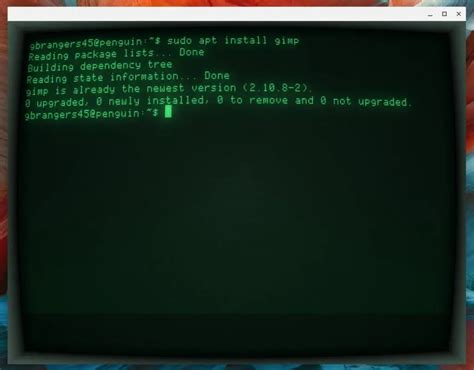Go Full Retro With This Custom Linux Terminal For Your Chromebook