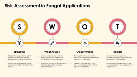 Endophytic Fungi And Mycorrhizal Ppt Template Acp Ppt Example