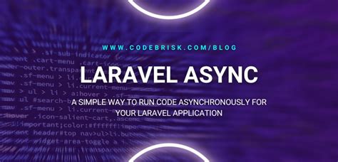 run your codebrisk laravel framework developers