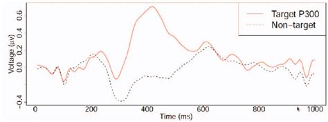 Figure 2 From A Shallow Spiking Neural Network For P300 Classification Semantic Scholar