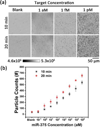 A Target Recycling Amplification Process For The Digital Detection Of Exosomal Micrornas Through