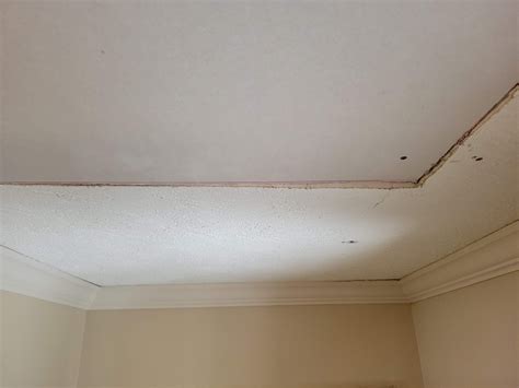 Rosebud Ceiling Texture Roller Shelly Lighting