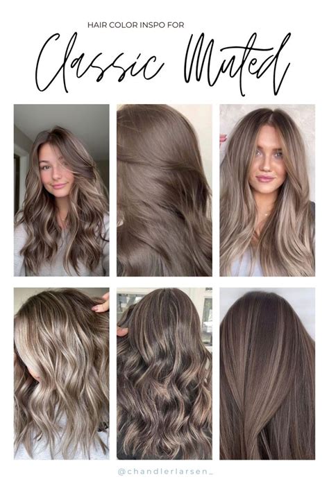 Classic Soft Season Hair Summer Brown Hair Palette Hair Color Cool
