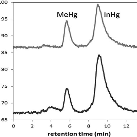 Spe Hplc Cv Afs Chromatogram For Rice 2 Containing 1 56 Mg G À1 Mehg