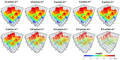 A 3d Illustration Of Airborne Lidar Pulse Density Reduction At The Plot