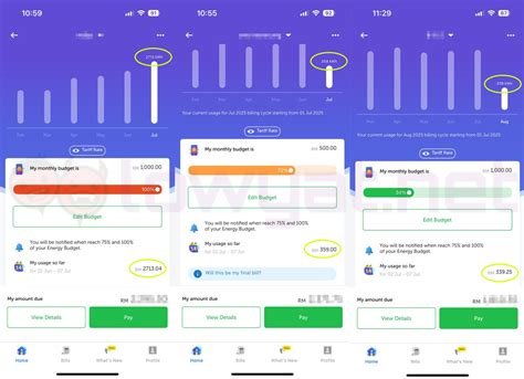 Tnb Acknowledges Mytnb App Glitch Takes Down Graph Feature Lowyatnet
