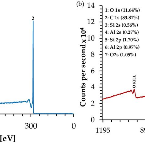 X Ray Photoelectron Spectroscopy Of A 9999 High Purity Polymer