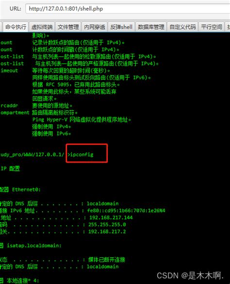冰蝎软件的配置与应用 Csdn博客