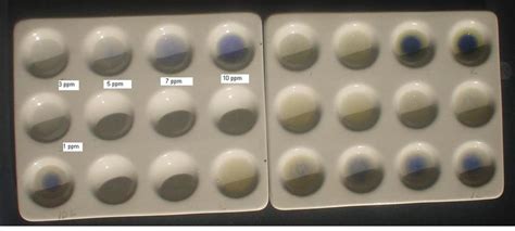 Semi Quantitative Method Of Nitrate Estimation Using Color Comparison Download Scientific