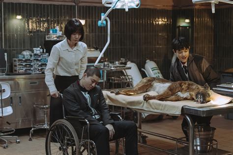 보도자료 쿠팡플레이 시리즈 가족계획 드디어 오늘 첫 공개 독특한 세계관 예고하는 1 2화 스틸 대방출 쿠팡 뉴스룸