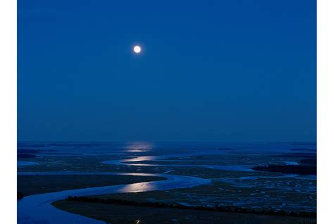 Picturing Freedom Harriet Tubman And The Combahee River Raid Exhibitions Gibbes Museum Of Art