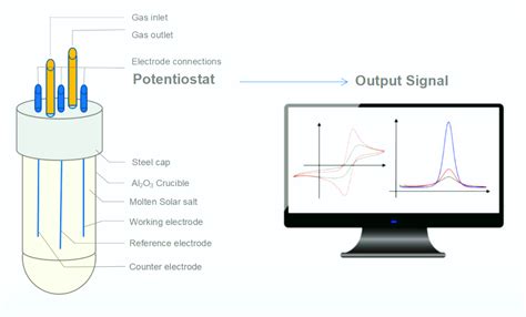 In Situ Measurement Techniques For Investigating The Life Cycle