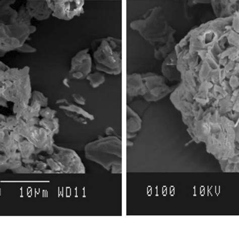 Sem Images Lclb Surface A Before And B After Adsorption Of Pb Ii Ions