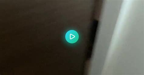 Stalking Cat Album On Imgur