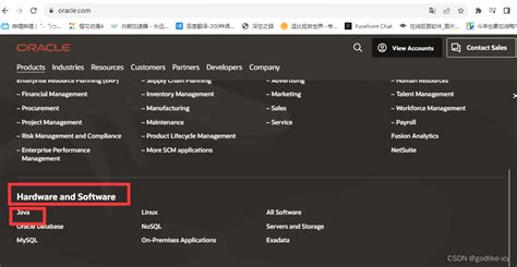 Jdkjava Se Development Kit Csdn
