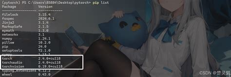 [python]如何正确的安装pytorch 详细 Pytorch安装 Csdn博客