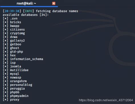 SQL Injection基础知识 航行学园