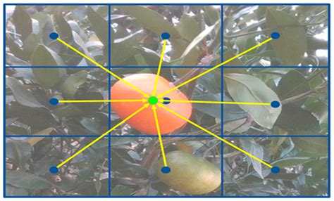 Deep Learning Based Real Time 6d Pose Estimation And Multi Mode Tracking Algorithms For Citrus