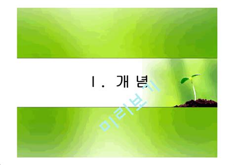 경영 자료 균형성과기록표bsc의 개요와 문제점 Down Mi 영 자료 균형성과기록표bsc의 개요와 문제점 Private Solution