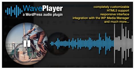 Best WordPress Audio Player Plugins BeginDot