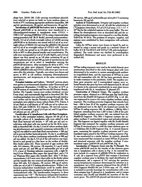 Expression Of Bacterial Genes In Plant Cells Pmc