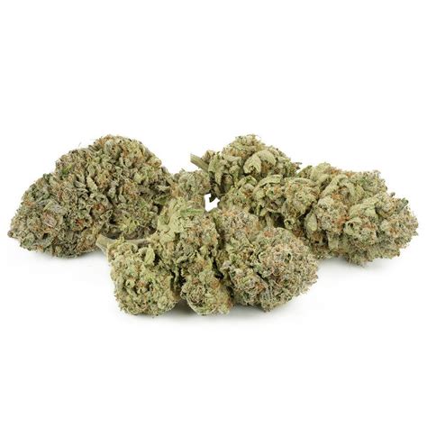 Pink Candy Kush Sweet And Potent Hybrid Strain Grabbakush